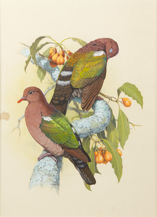 Bonhams : William T. Cooper (Australian, born 1934) Regent Honeyeater ...