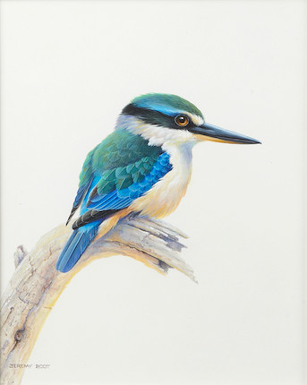 Bonhams : Jeremy Boot (Australian, born 1948) Magnificent Bird of ...
