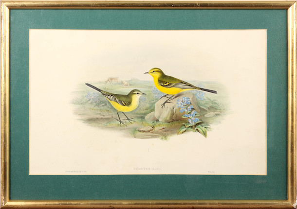 Bonhams : George Edwards (British, 1694-1773) Seven hand coloured ...