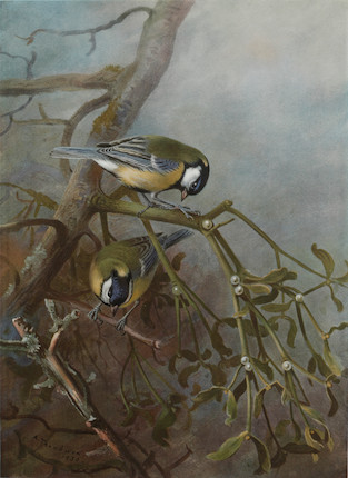 Bonhams : Archibald Thorburn (British, 1860-1935) Jay signed in pencil ...