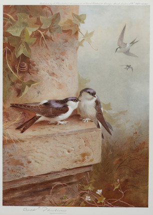 Bonhams : Archibald Thorburn (British, 1860-1935) Jay signed in pencil ...