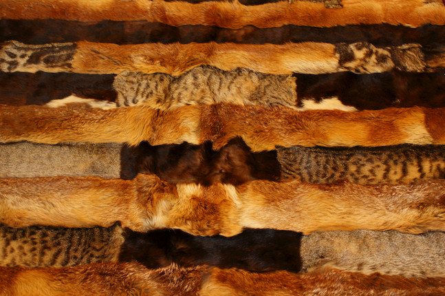 Bonhams : A possum skin rug on green felt backing