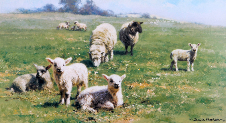 Bonhams : David Shepherd, O.B.E. (British, born 1931) 'Plough Team'