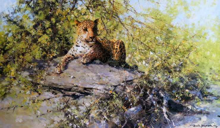 Bonhams : David Shepherd, O.B.E. (British, born 1931) 'Baobab and Friends'
