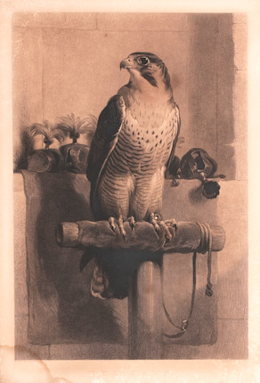 Bonhams : After Sir Edwin Henry Landseer, RA The Hawk and The Peregrine ...