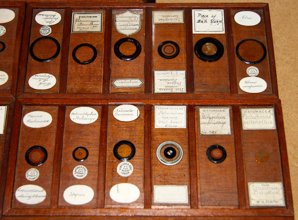 Bonhams : A 19th Century collection of microscope slides,