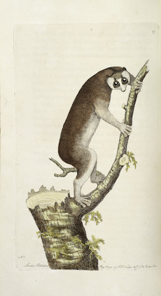 Bonhams : SHAW (GEORGE) and FREDERICK P. NODDER The Naturalist's ...