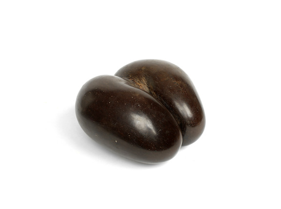 Bonhams : A polished coco de mer nut (Lodoicea Maldivica)