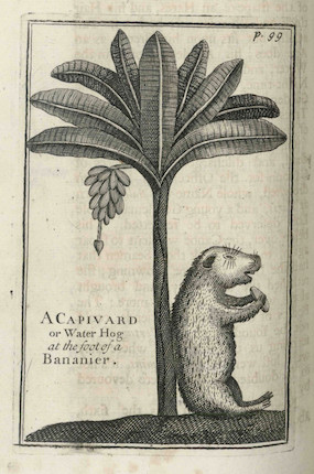 Bonhams : FROGER (FRANÇOIS) A Relation of a Voyage made in the Years ...