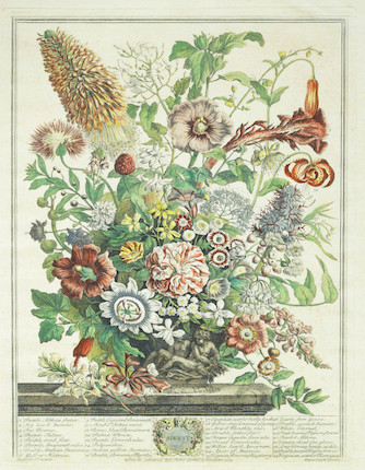 Bonhams : FURBER (ROBERT) Twelve Months of Flowers, set of 12 hand ...