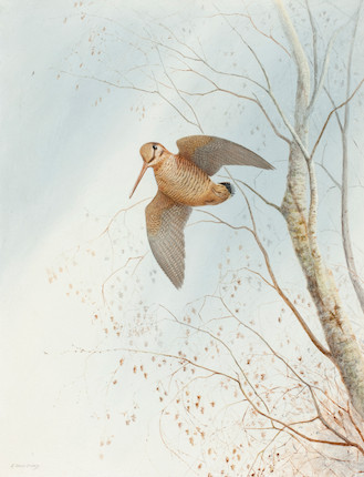 Bonhams : R. David Digby (born 1936) Teal in the snow (together with ...