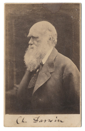 Bonhams : DARWIN (CHARLES) Photograph of Charles Darwin by Julia ...