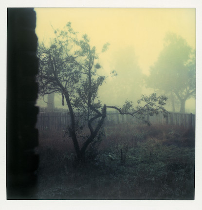 Bonhams : Andrey Tarkovsky (Russian, 1932-1986) A group of 8 Polaroid ...