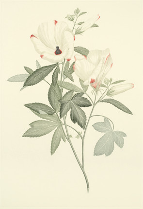 Bonhams : COOK (JAMES) and JOSEPH BANKS Banks' Florilegium. A ...