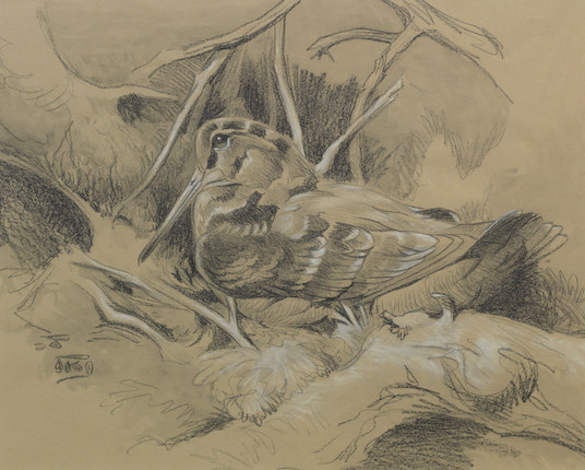 Bonhams : Richard Barret Talbot Kelly (British, 1896-1971) The Woodcock
