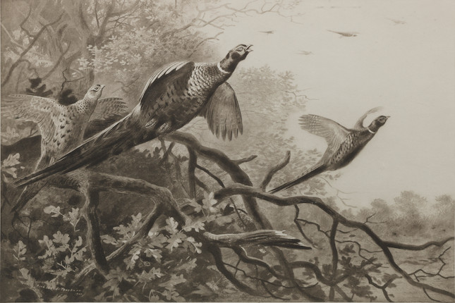 Bonhams : Archibald Thorburn (British, 1860-1935) September Partridges ...