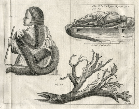 Bonhams : ROYAL SOCIETY The Philosophical Transactions and Collections ...