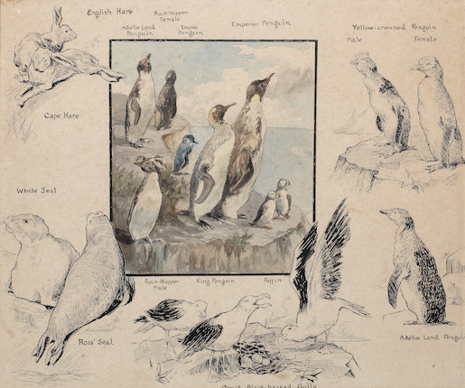 Bonhams : POLAR MARSTON (GEORGE EDWARD) Polar wildlife, 1910s