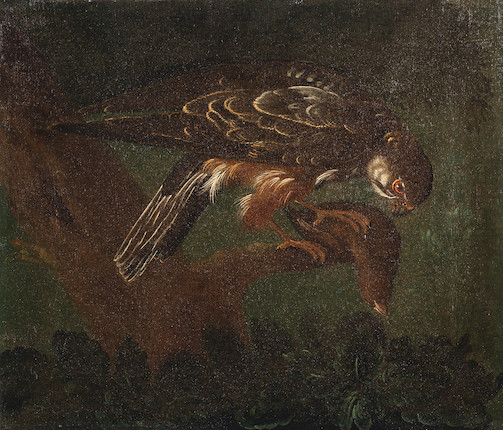 Bonhams : German School, 18th Century A hawk unframed