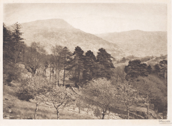 Bonhams : PHOTOGRAPHY - GEORGE DAVISON A group of 9 vintage ...