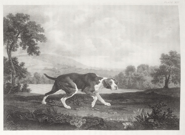 Bonhams : ARKWRIGHT (WILLIAM) The Pointer and His Predecessors, Arthur ...