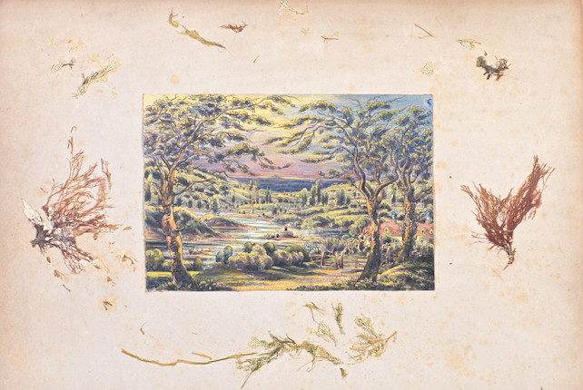 Bonhams : FERNS Flintoft's Collection of the British Ferns in the ...