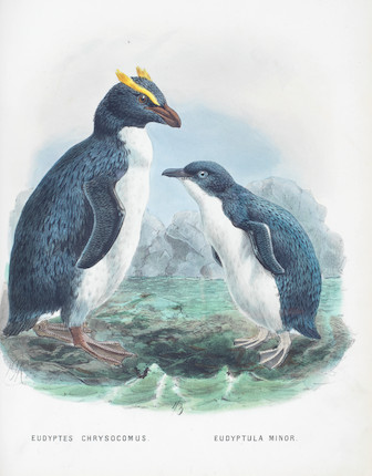 Bonhams : BULLER (WALTER LAWRY) A History of the Birds of New Zealand ...