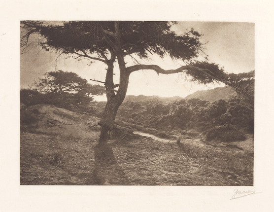 Bonhams : PHOTOGRAPHY - GEORGE DAVISON A group of 5 vintage ...
