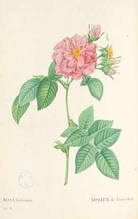 Bonhams : REDOUTÉ (PIERRE JOSEPH) Les roses.... avec le texte par C.A ...