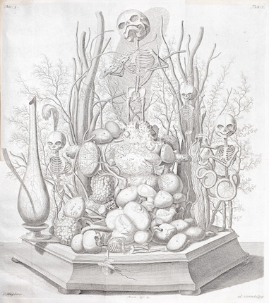 Bonhams : RUYSCH (FREDERIK) Opera omnia anatomico-medico-chirurgica, 48 ...