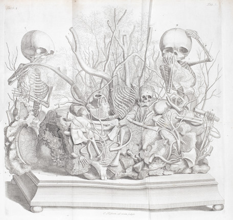 Bonhams : RUYSCH (FREDERIK) Opera omnia anatomico-medico-chirurgica, 48 ...