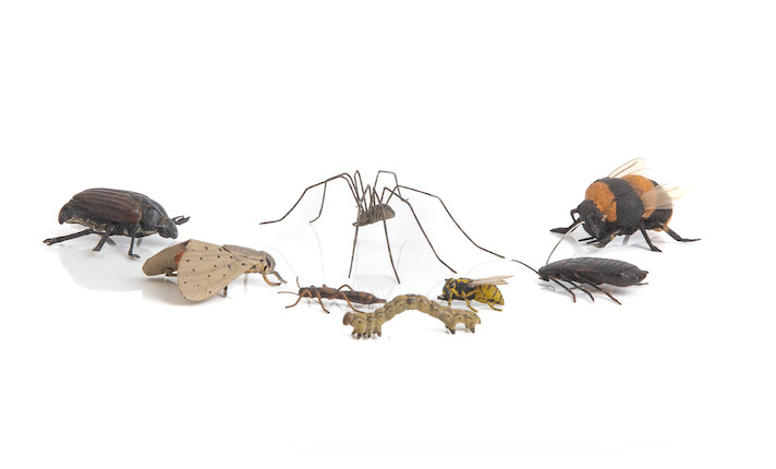 Bonhams : A Collection of Cold Painted Bronze Insects Early 20th ...