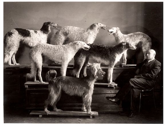 Bonhams : DARWINIAN MUSEUM, MOSCOW A small archive of material, given ...