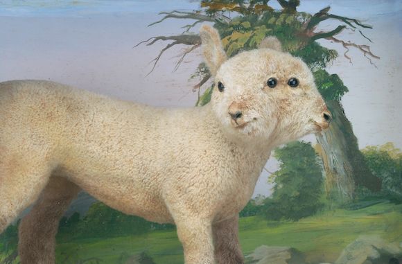Bonhams Cars : Two Headed Lamb, English, early 20th century,