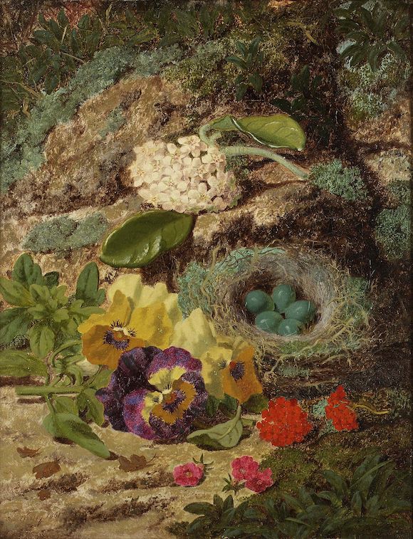 Bonhams : Thomas Worsey, RBSA (British 1829-1875) Still life of bird's ...