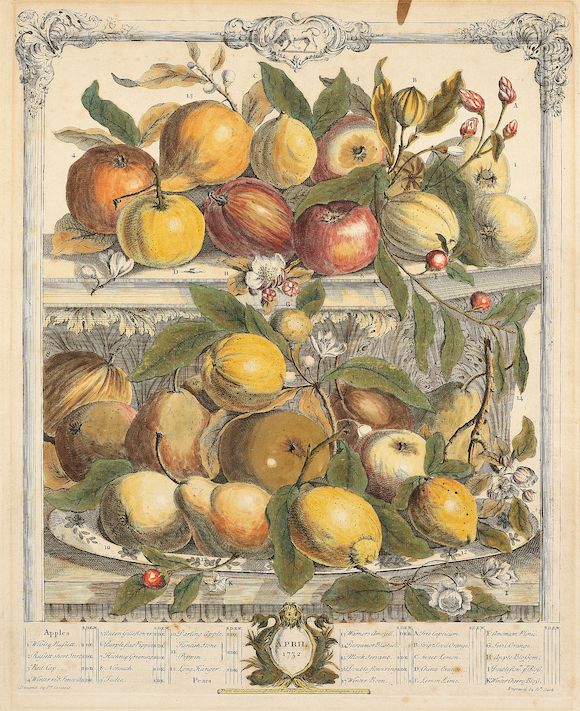 Bonhams : After Peter Casteels The Months in Fruit (from the Collection ...