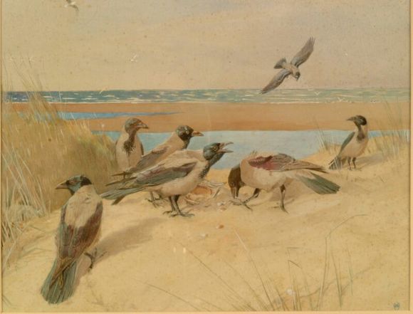 Bonhams : Winifred Austen (1876-1964),