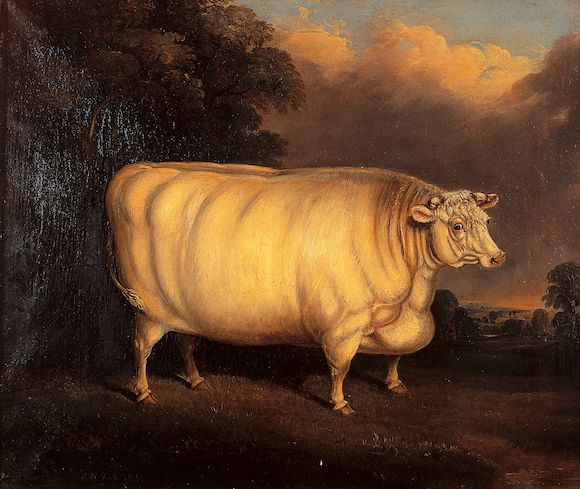 Bonhams : Edwin M. Fox (op. 1830-1870) British A prize shorthorn in a ...