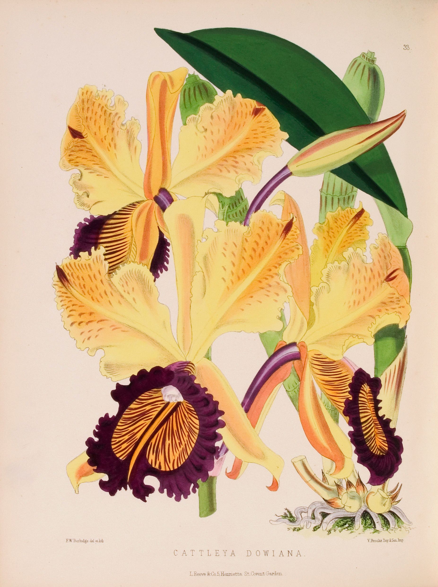 Samuel Jennings: Aktuelle Auktionen, Wertentwicklung und kostenlose ...