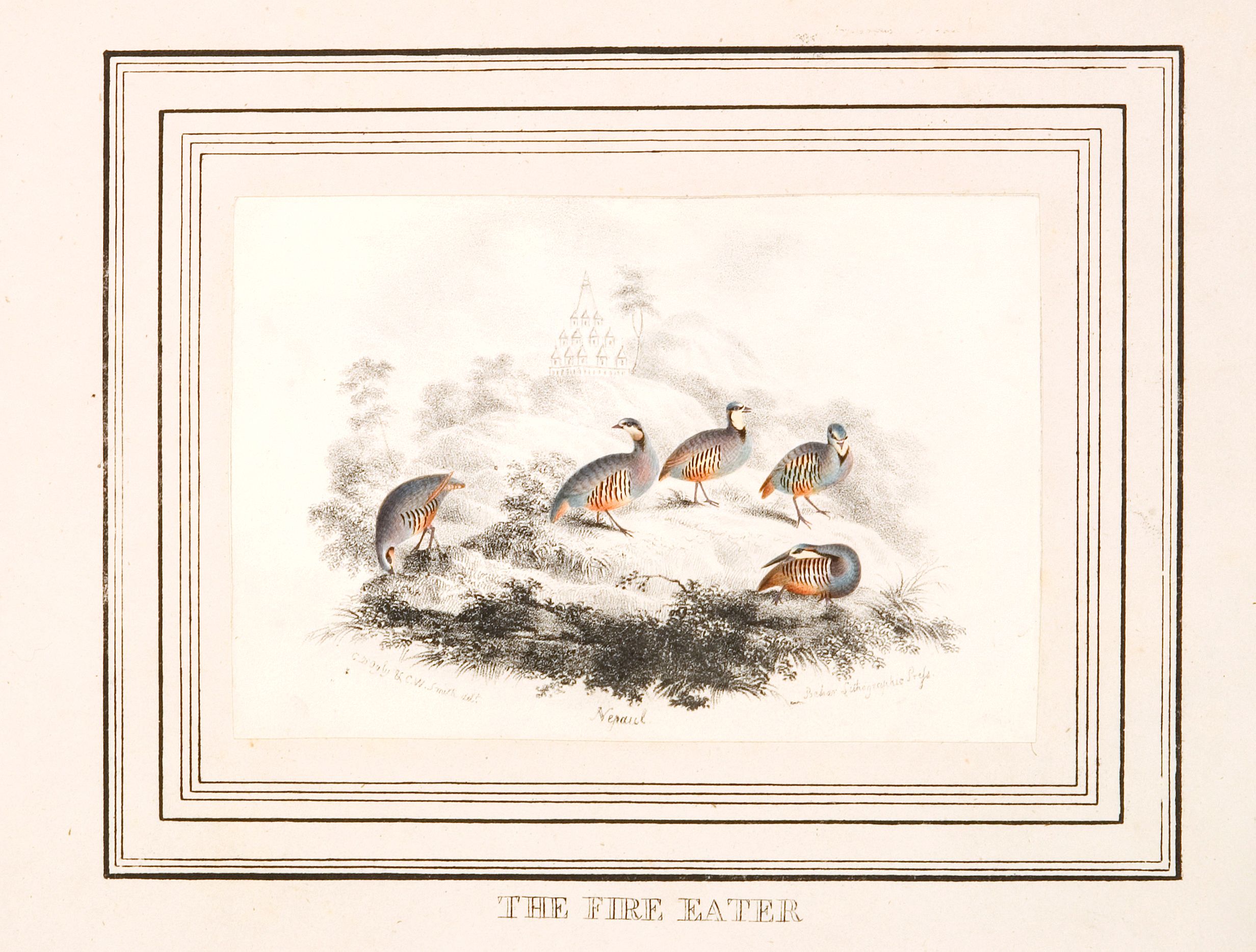 Christopher Webb Smith: upcoming auctions, appraisal insights and free ...