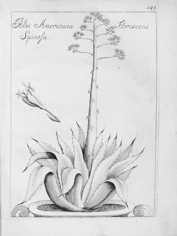 Bonhams : MUNTING (ABRAHAM) Waare Oeffening der Planten, waar in de ...