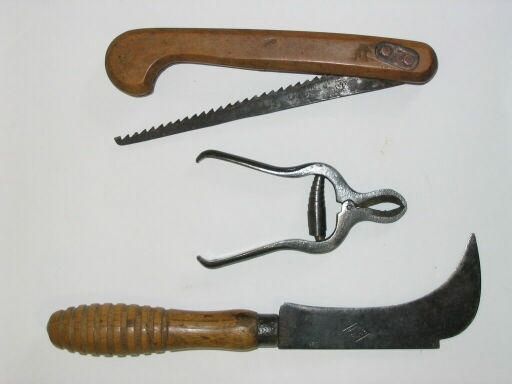 Bonhams : A pair of mid 19th Century French vine bleeding scissors, a ...