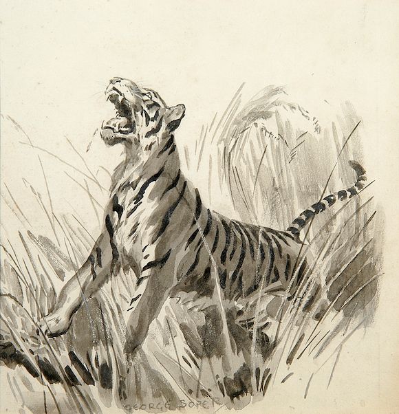 Bonhams : George Soper, R.E. (1870-1942) A roaring tiger 21 x 20.5cm (8 ...