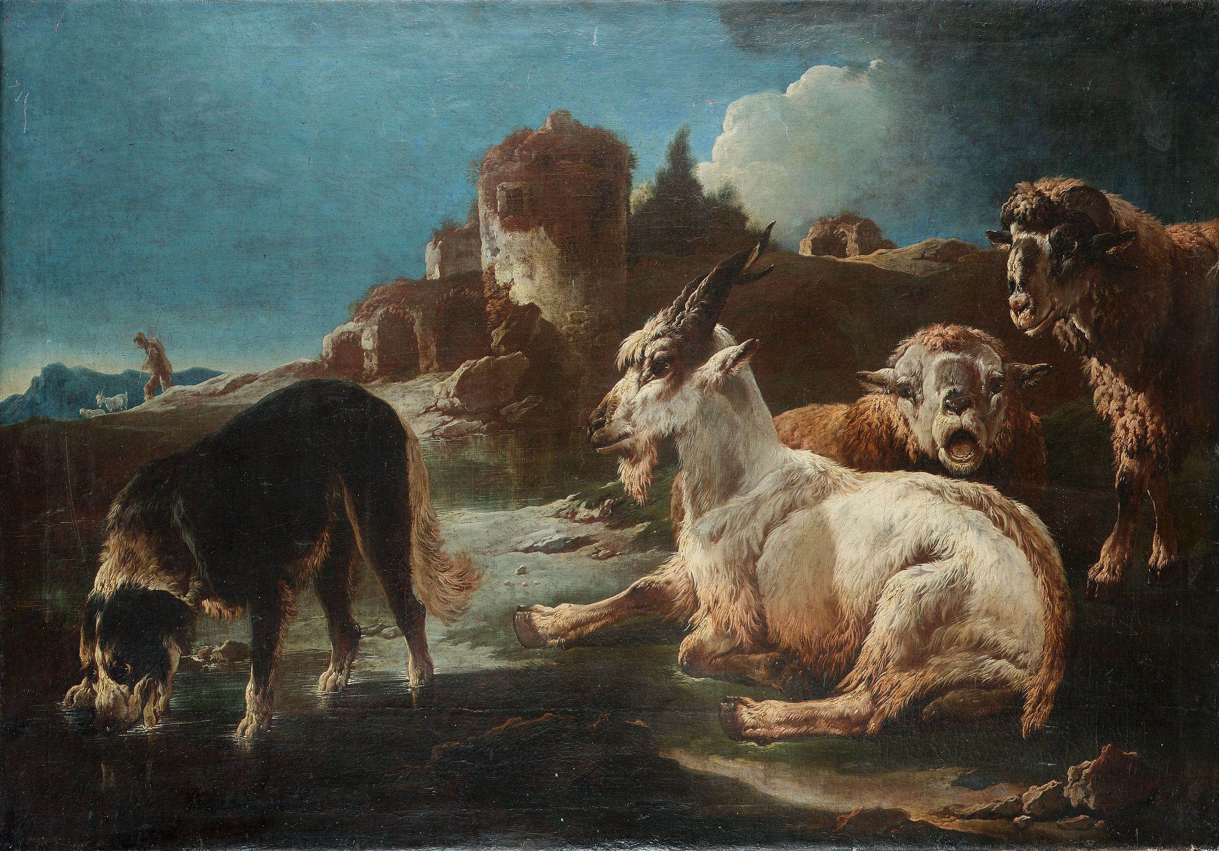 Pieter Roos's Instagram, Twitter & Facebook on IDCrawl