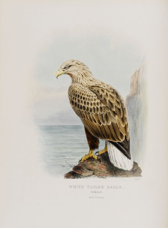 Bonhams : BOOTH (EDWARD THOMAS) Rough Notes on the Birds Observed ...