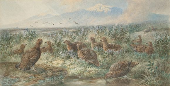 Bonhams : Edward Neale (British, exh.1880-1898) Grouse amongst heather ...