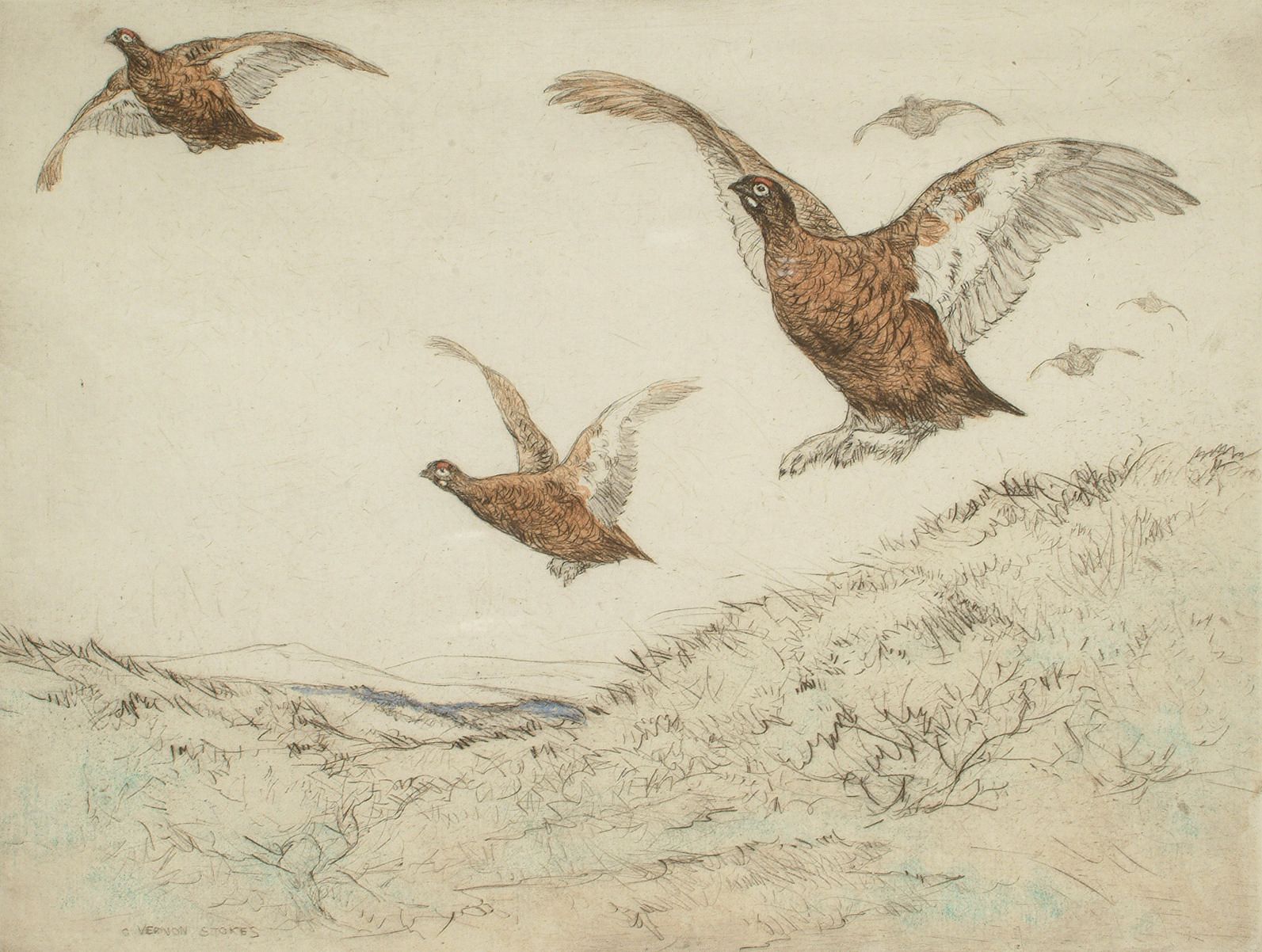 George Vernon Stokes - lots in our price database - LotSearch