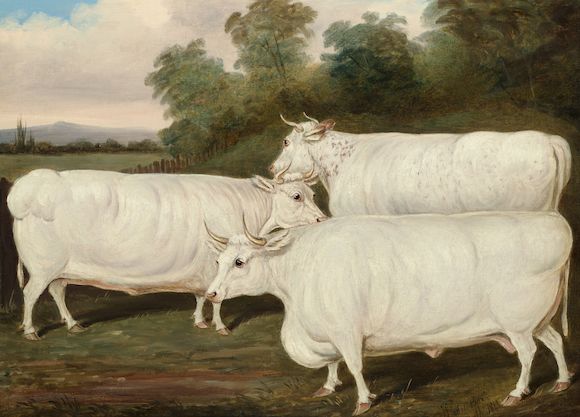 Bonhams : James Loder (British fl.1820-1860) Three prize white ...