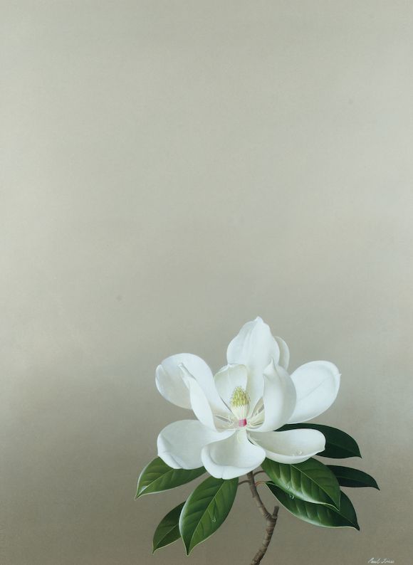 Bonhams : Paul Osborne Jones (Australian, 1921-1998) Magnolia 69 x 51 ...