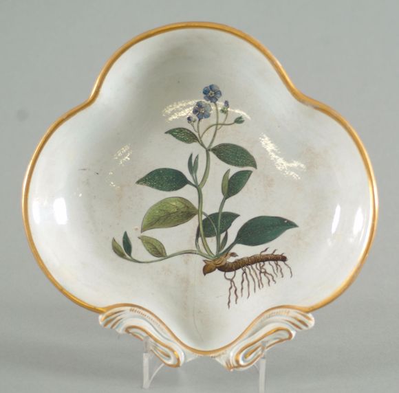 Bonhams : A Swansea botanical dish by Thomas Pardoe circa 1800